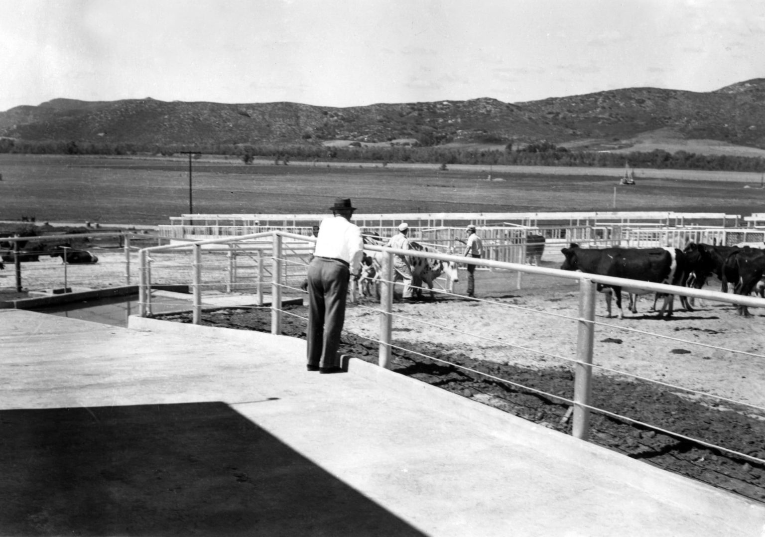 Our Story - H.G. Fenton